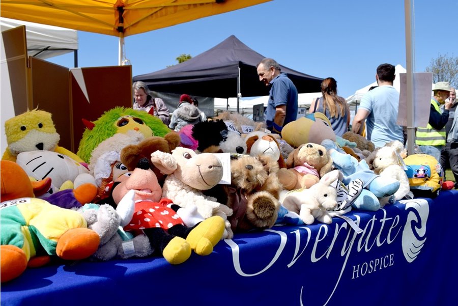 Hospice Garden Party set to be a Great Family Day Out - Overgate Hospice